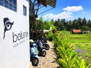 23 gave dingen om te doen in Ubud (+ insider-tips) - Backpackblog.nl