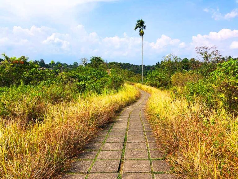 De Campuhan Ridge Walk: een mooie wandeling in Ubud - Backpackblog.nl